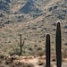 Arizona Landscape, Mountains, Wall Art, Cactus, Living Room , Office ...