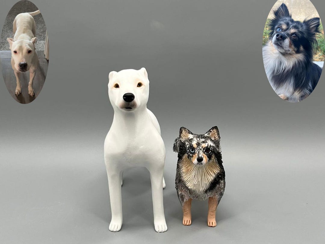 Customized Various Pet Statues, Personalized Birthday Gifts, Wedding ...