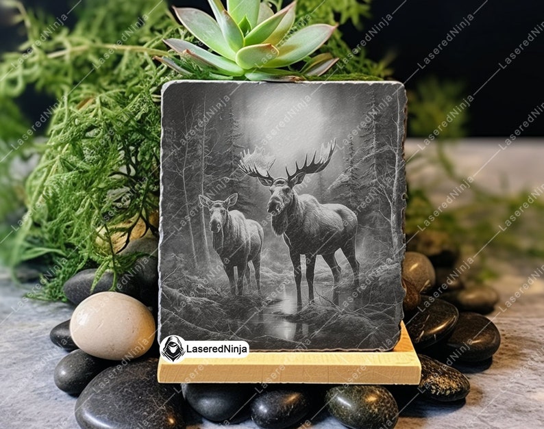 Moose Couple Bull Elk Wildlife Forest Trees Scene Laser PNG Slate ...