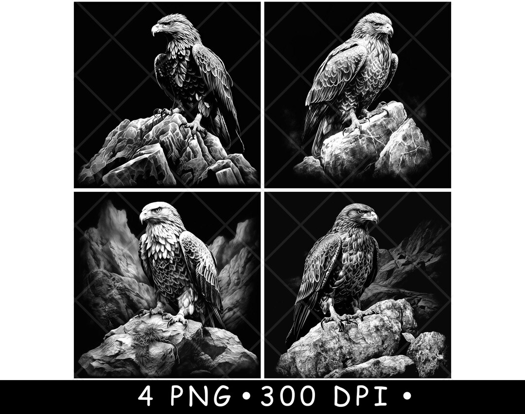 Hawk Falcon Bird of Prey Raptor Peregrine Osprey Feather Laser File ...