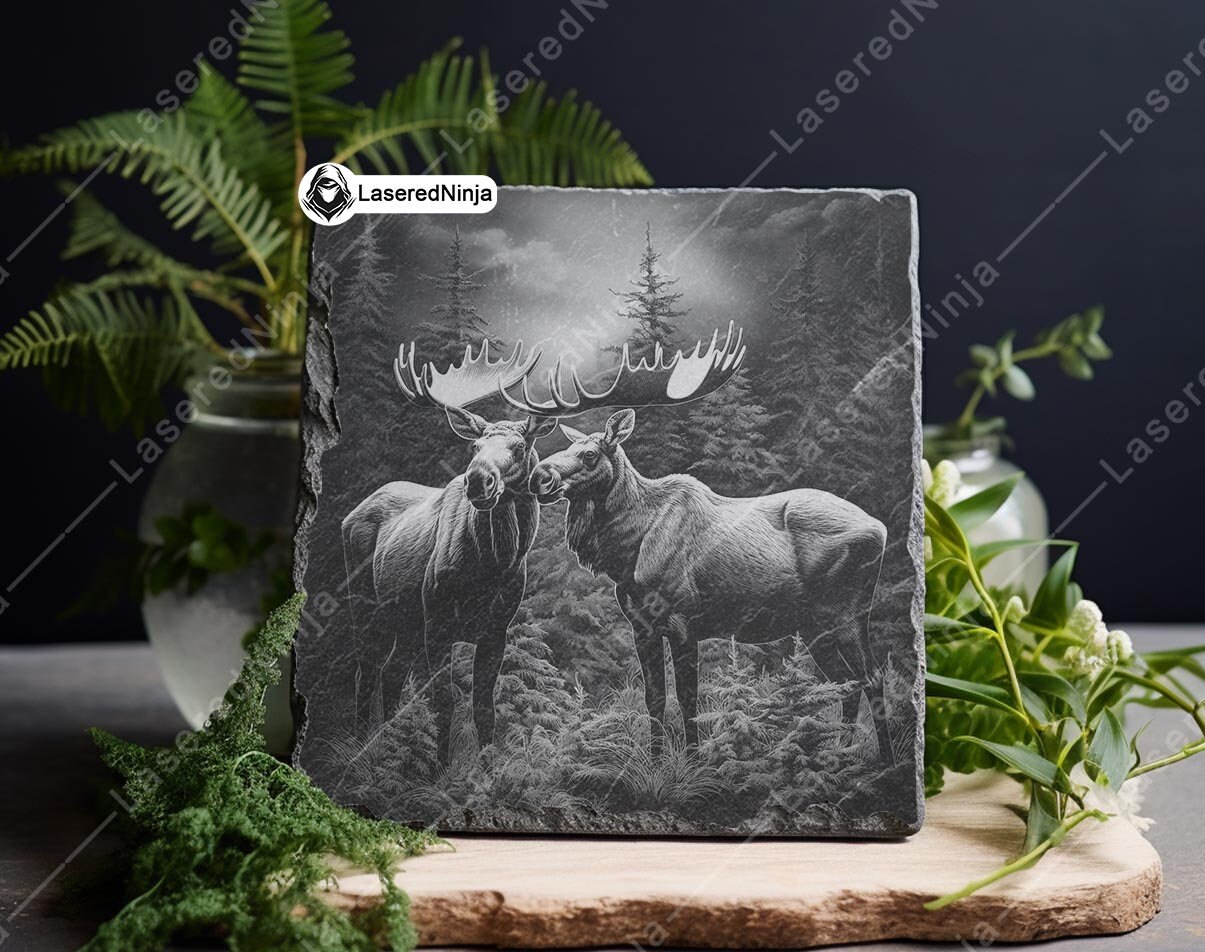 Moose Couple Bull Elk Wildlife Forest Trees Scene Laser PNG Slate ...