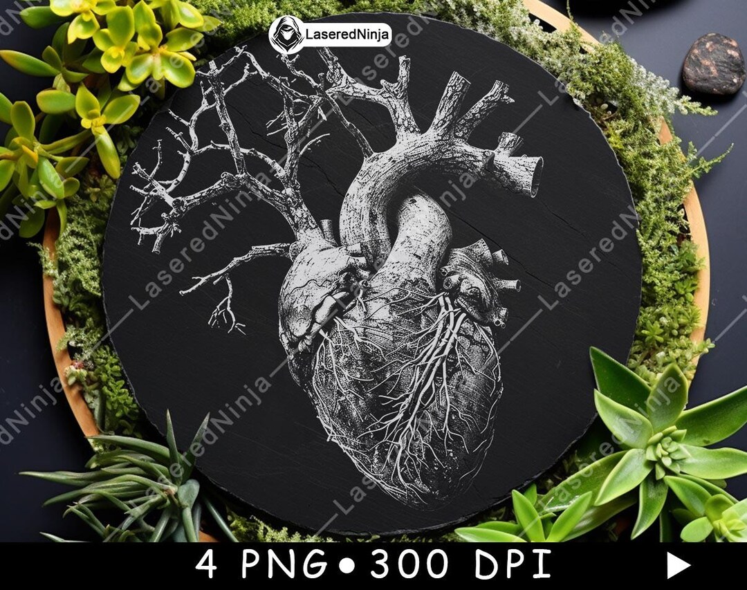 Human Heart Tree of Life Veins Arteries Nature Anatomy Laser File ...