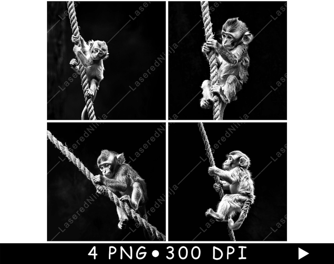 Swinging Monkey Rope Happy Chimp Young Primate Wildlife Laser File ...