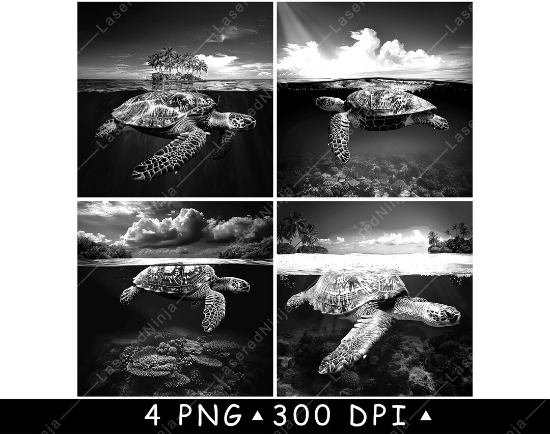 Green Sea Turtle Hawksbill Ocean Underwater Island Corals Laser File ...