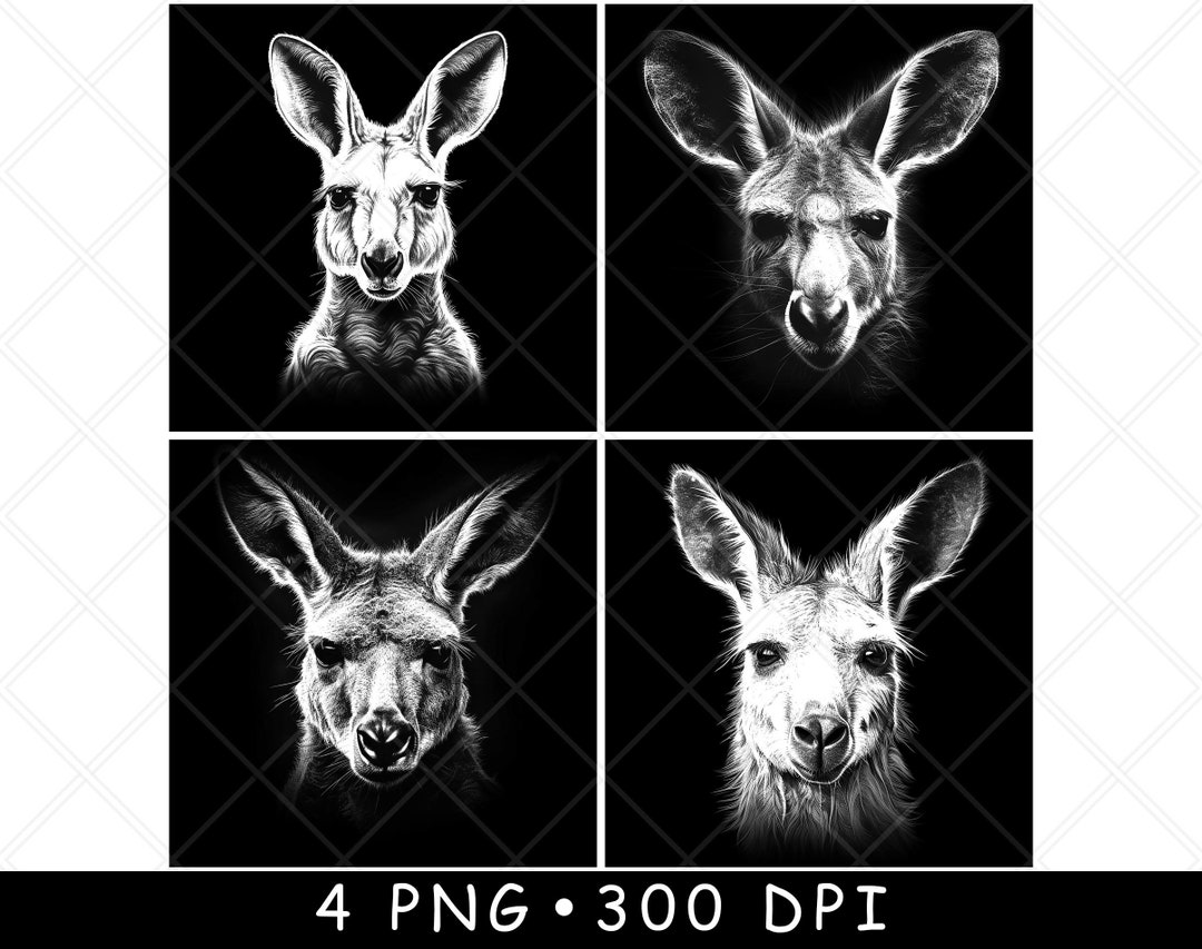 Kangaroo Hop Joey Macropod Marsupial Australia Wildlife Laser File ...