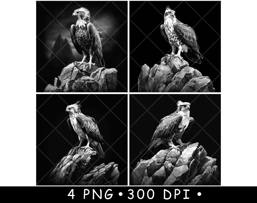 Osprey Eagle Hawk Bird Raptor Fish Eater Perch Wild Prey Laser File ...