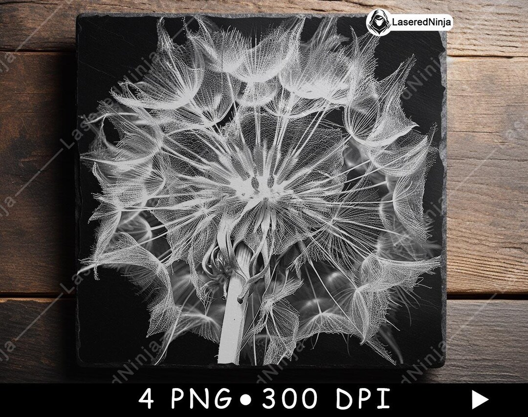 Dandelion Puff Airy Seeds Garden Springtime Wildflower Laser File ...