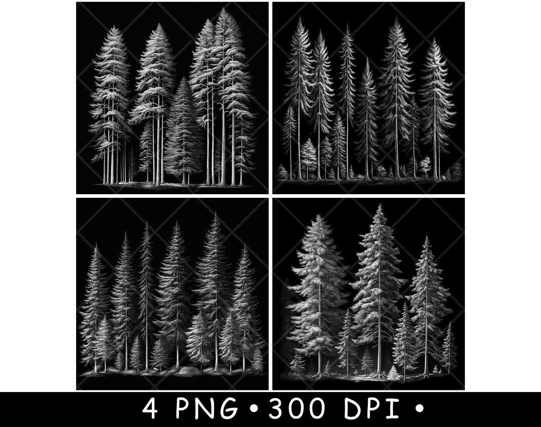 Tall Pine Trees Evergreen Winter Forest Woods Landscape Laser File ...