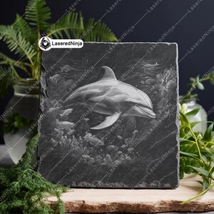 Bottlenose Dolphin Underwater Scene Ocean Sea Fish Coaster Laser File ...