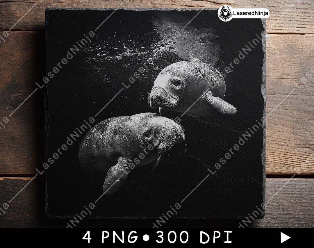Manatee Sea Cow Marine Life Aquatic Animal Couple River Laser File ...