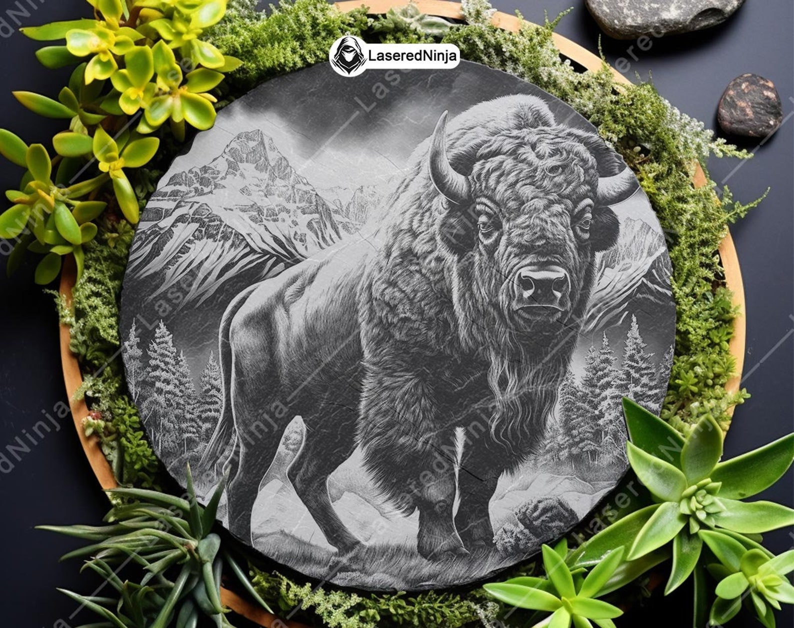 Majestic American Bison in Mountain Landscape Black and White Wildlife ...