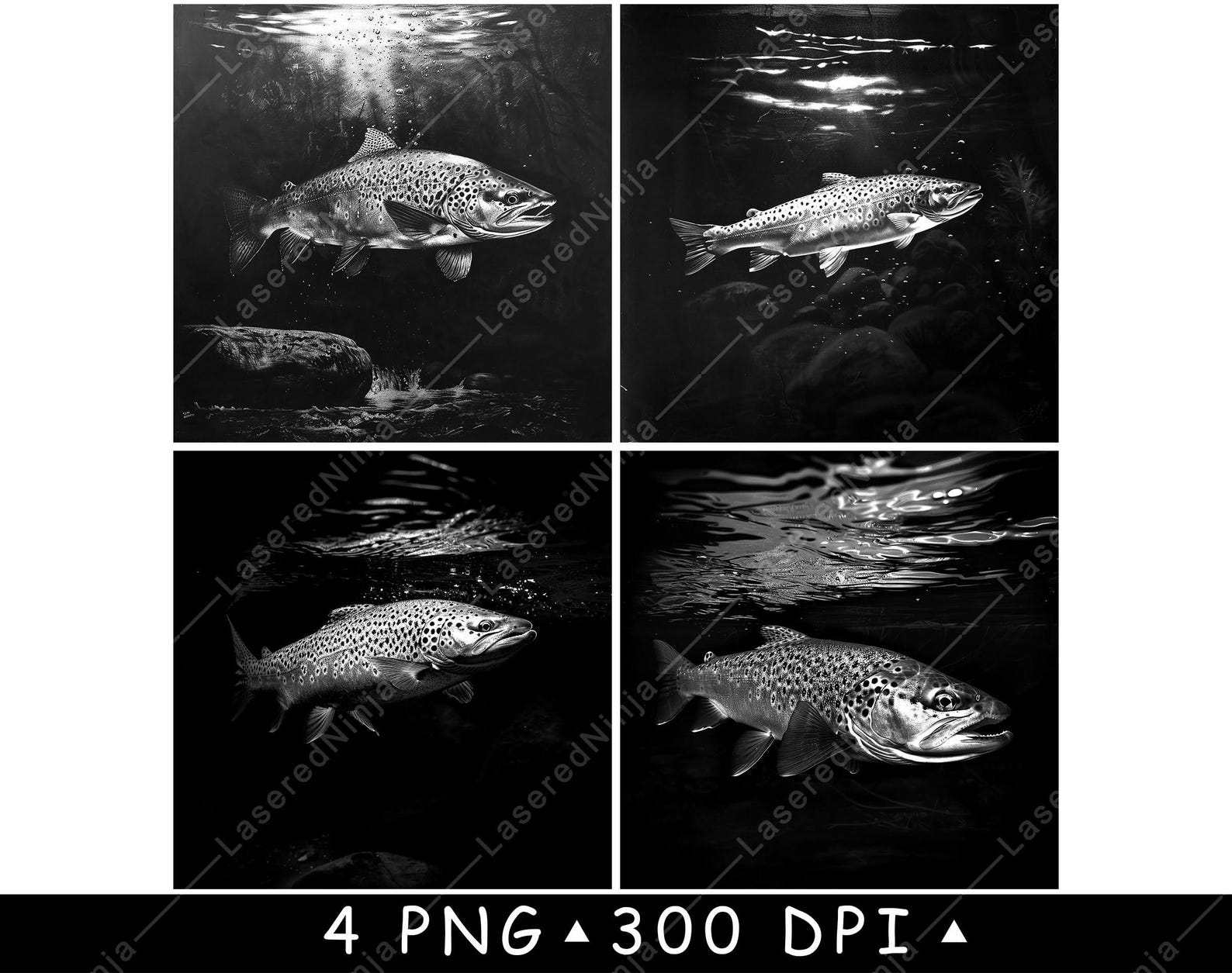 Trout Underwater River Freshwater Fish Aquatic Wildlife Laser File ...
