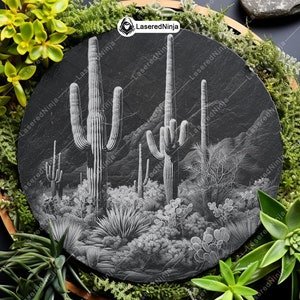 Saguaro National Park Cactus Landscape Scene West Laser PNG Slate ...