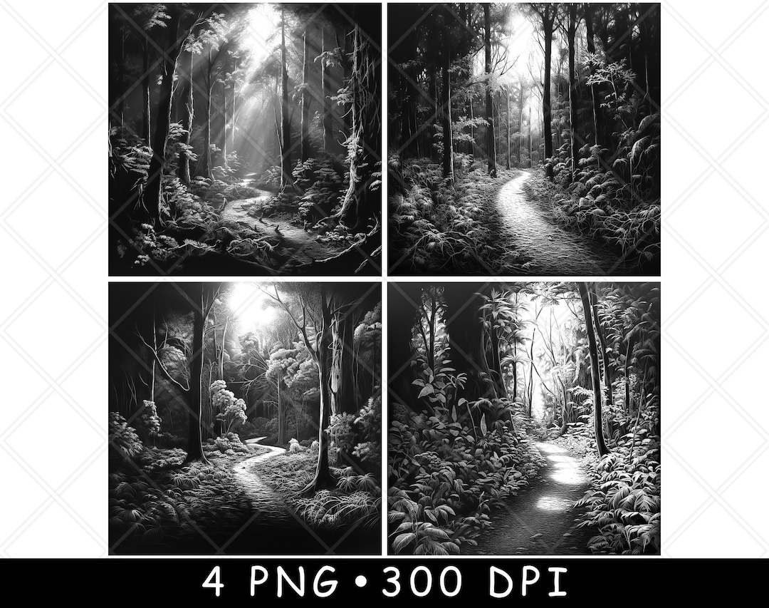 Forest Woodland Wilderness Timber Road Path Trail Scene Laser PNG Slate ...