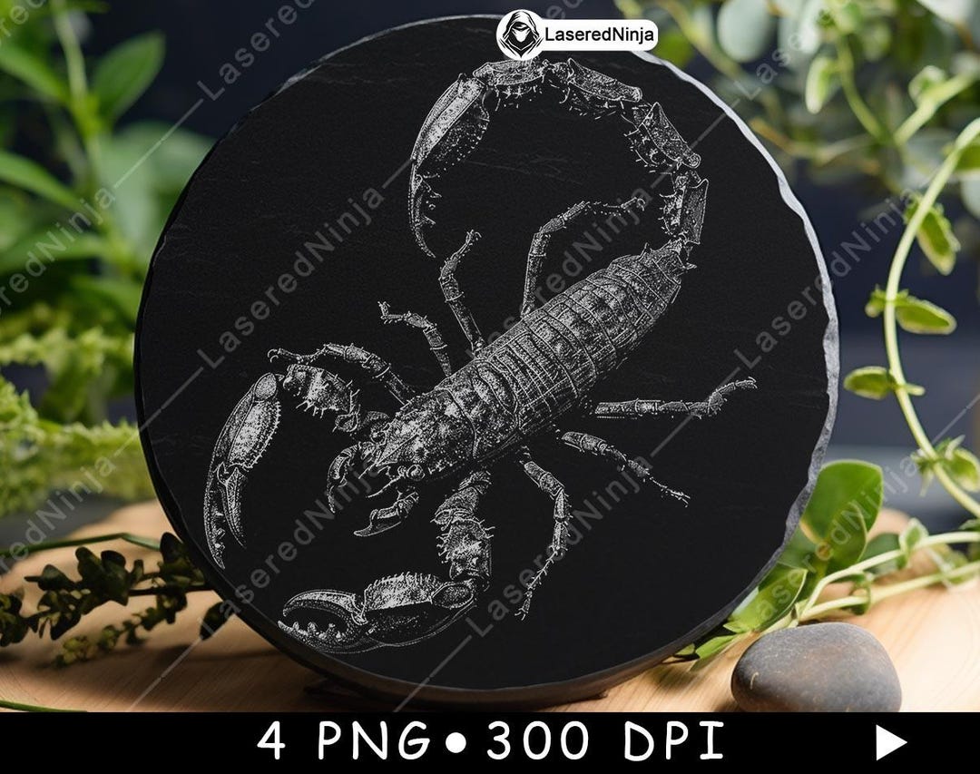 Gothic Scorpion Venom Wildlife Poison Claw Arachnid Crawl Laser File ...