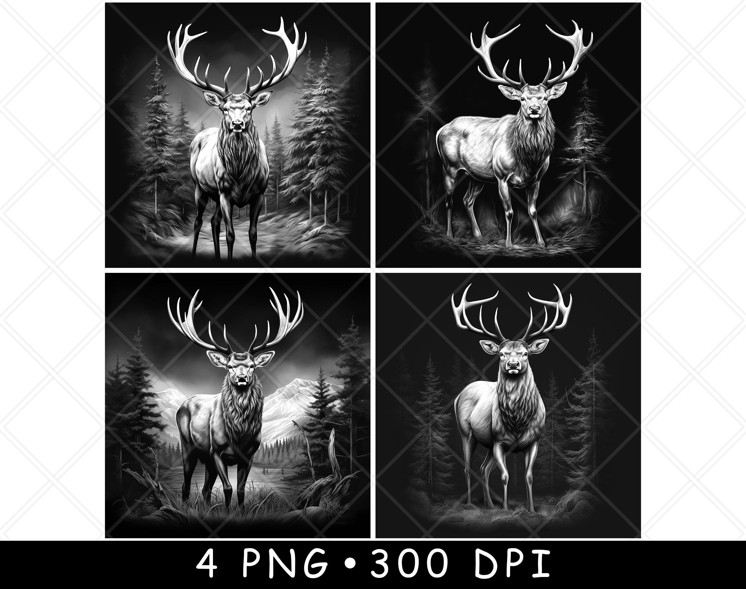 Bull Elk Caribou Wapiti Deer Wildlife Buck Scene Laser PNG Slate ...