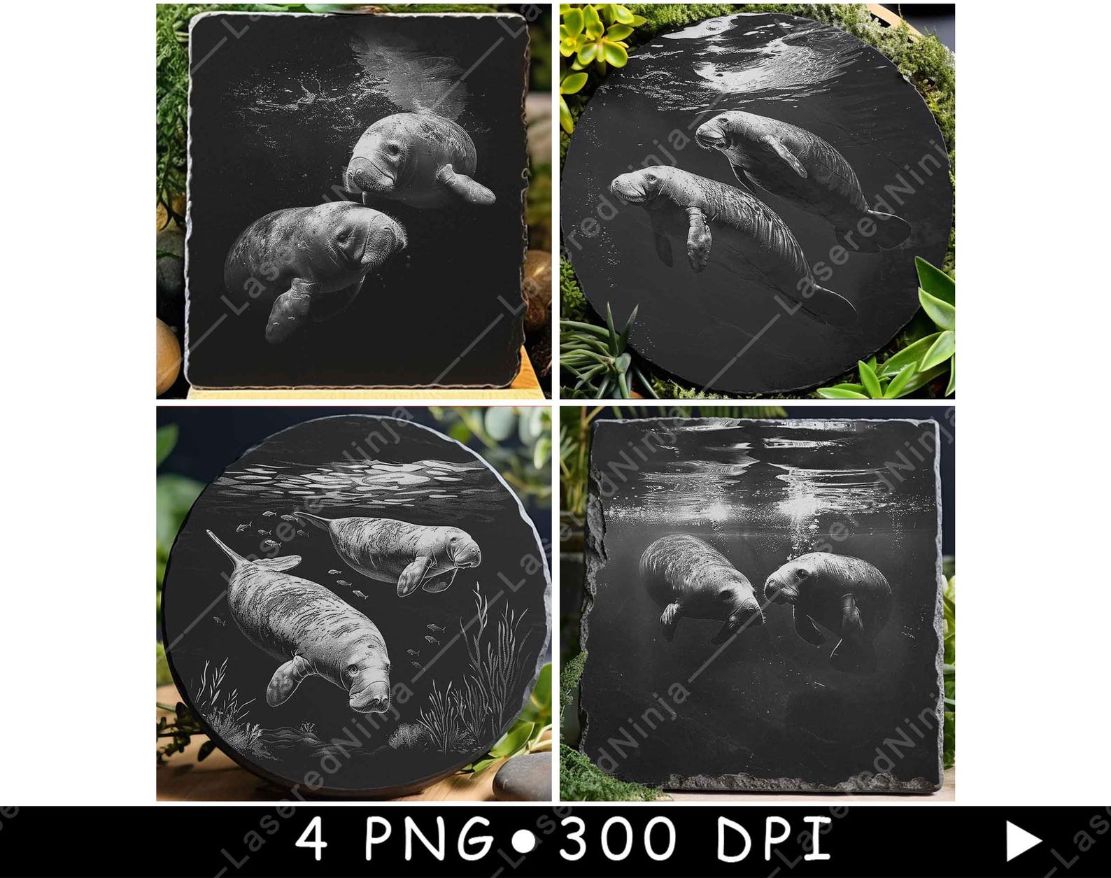 Manatee Sea Cow Marine Life Aquatic Animal Couple River Laser File ...