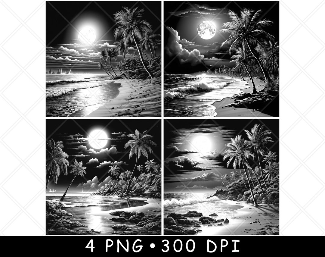 Moonlit Tropical Beach Black & White Night Ocean Scenes Palm Trees ...