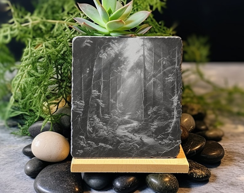 Forest Woodland Wilderness Timber Road Path Trail Scene Laser PNG Slate ...