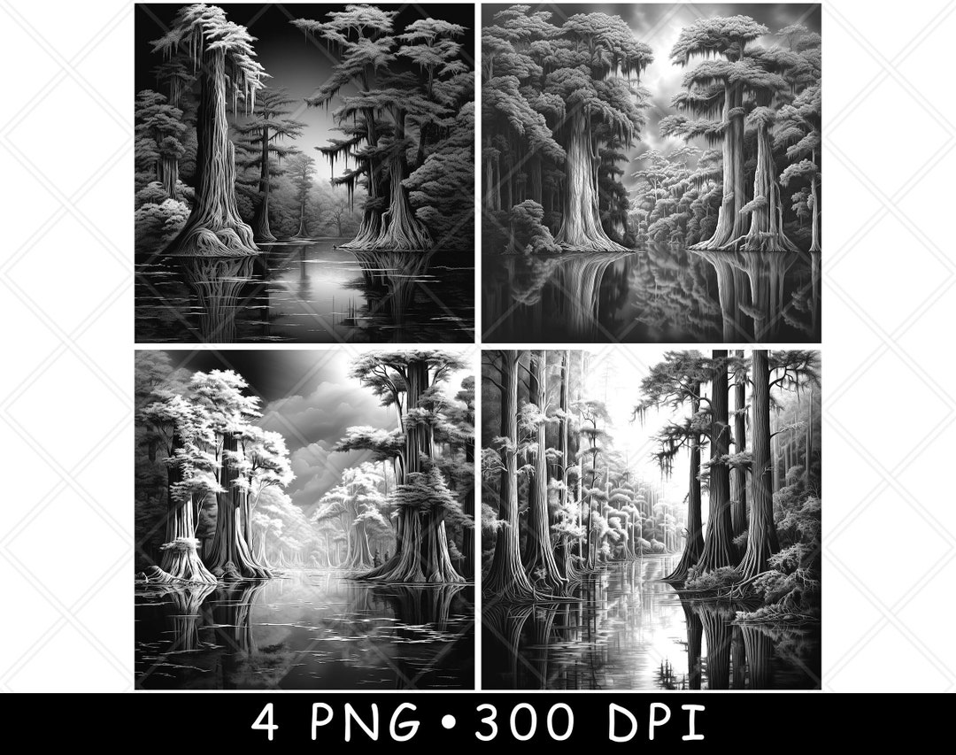 Swamp Bald Cypress Wetland Trees South Georgia Lake Scene Laser File ...