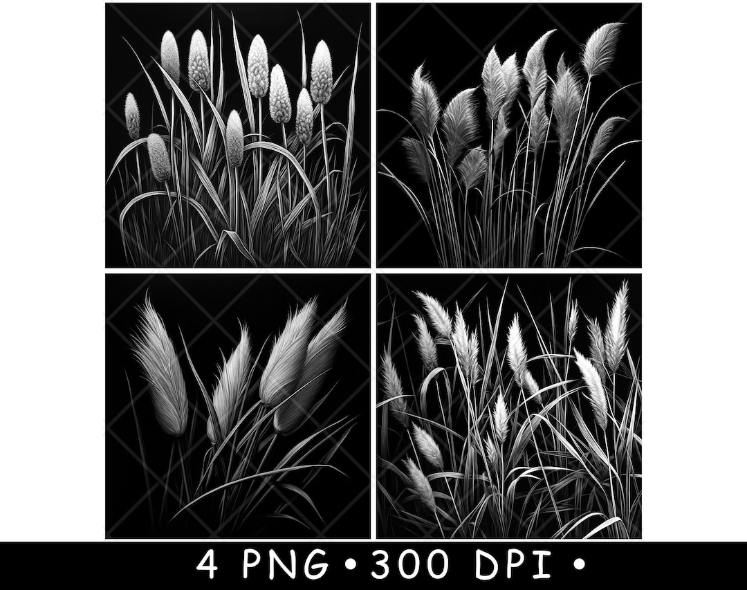 Reeds Cattail Schilf Bulrush Shrub Grass Marsh Wetlands Laser File ...