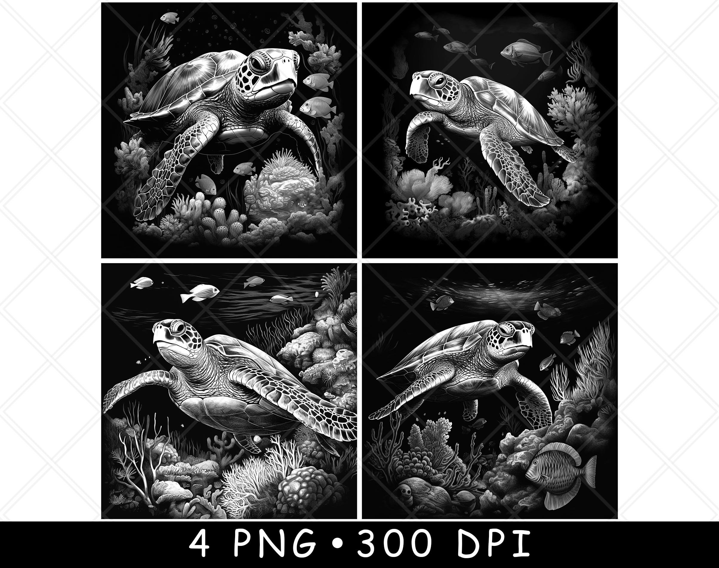 Green Sea Turtle Hawksbill Sea Coral Reef Scene Art Coaster Laser File ...