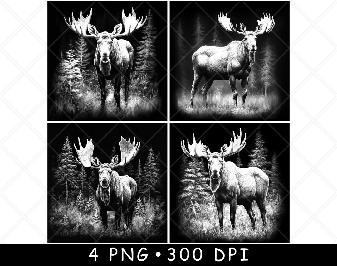 Bull Moose Wapiti Elk Forest Habitat Nature Wild Animal Laser File ...
