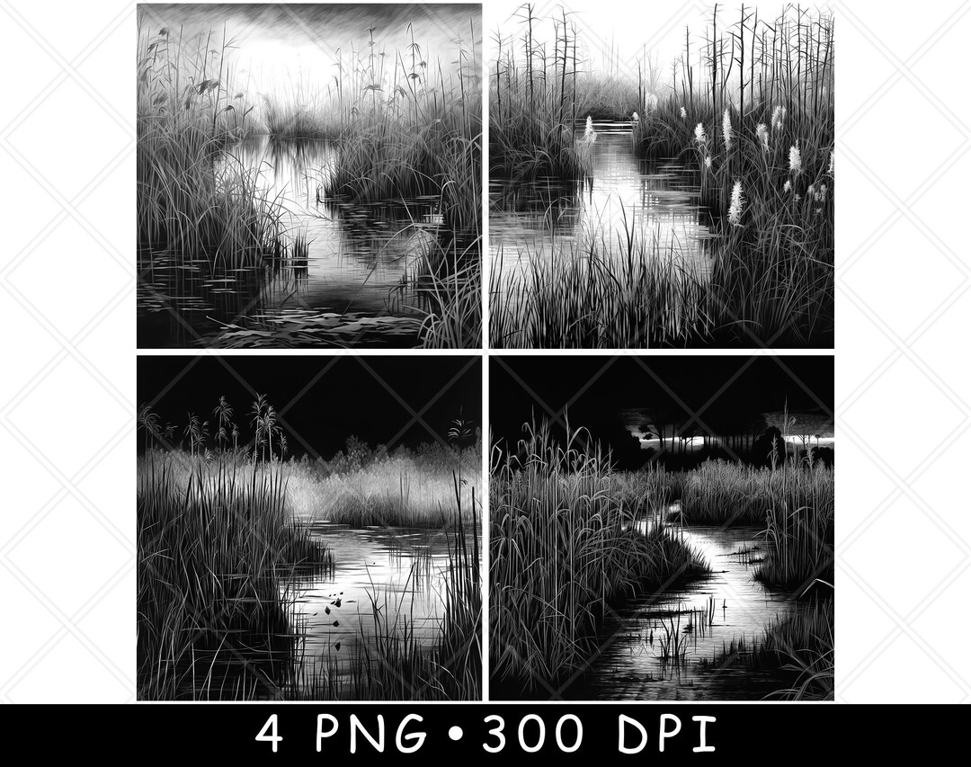 Reeds Swamp Cattail Grass Marsh Wetland Water Scene Coaster Laser File ...