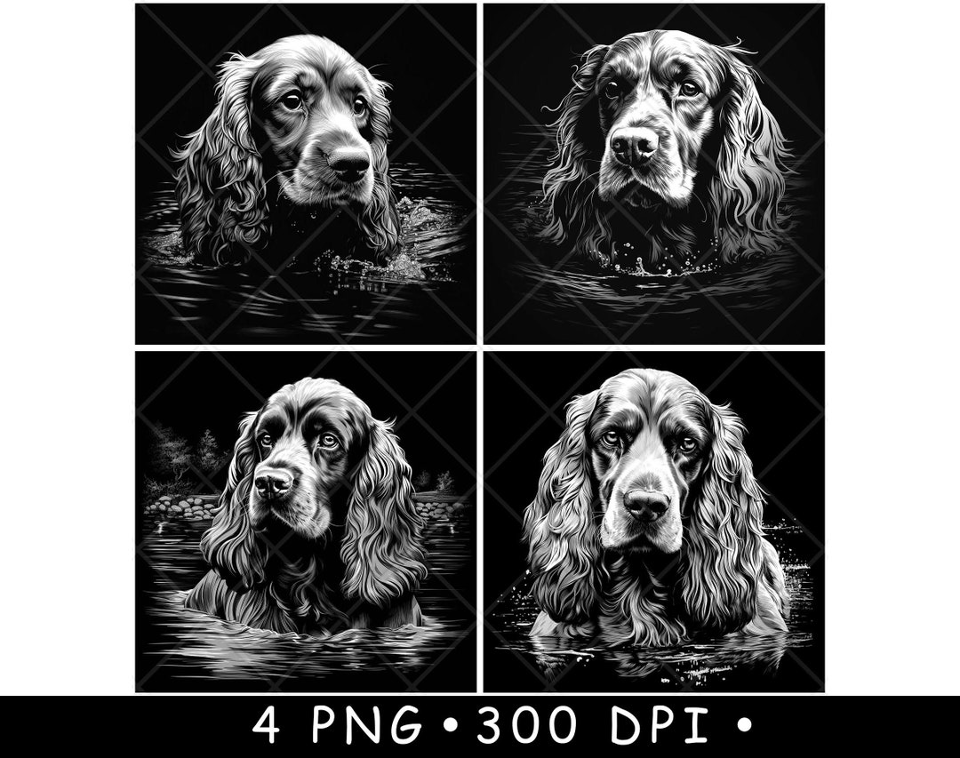 Cocker Spaniel in Water Black and White Dog Portraits for Laser ...
