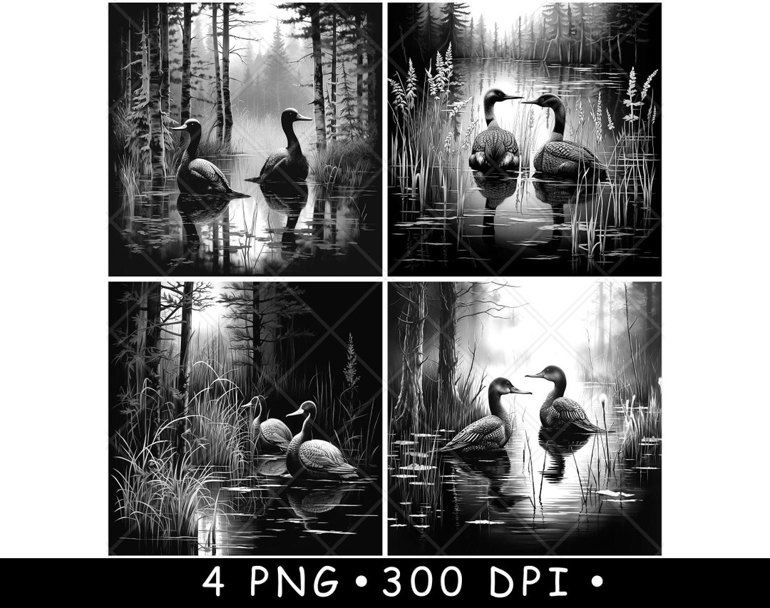 Loon Swamp Geese Duck Marsh Water Lake Goose Forest Pond Laser File ...