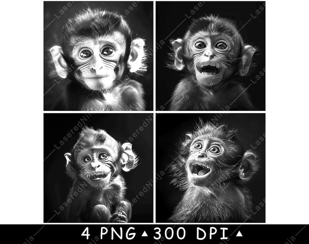 Happy Baby Monkey Cute Chimp Young Little Chimpanzee Wild Laser File ...