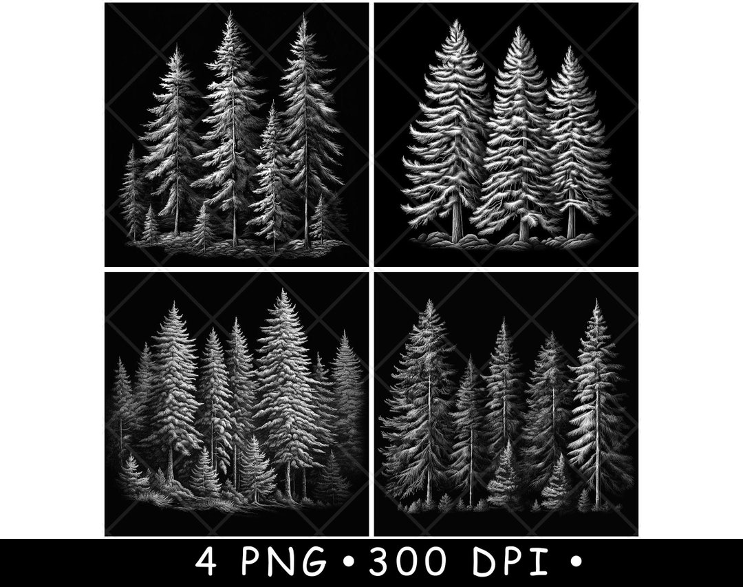 Pine Tree Silhouette Bundle Black and White Evergreen Forest Cluster ...