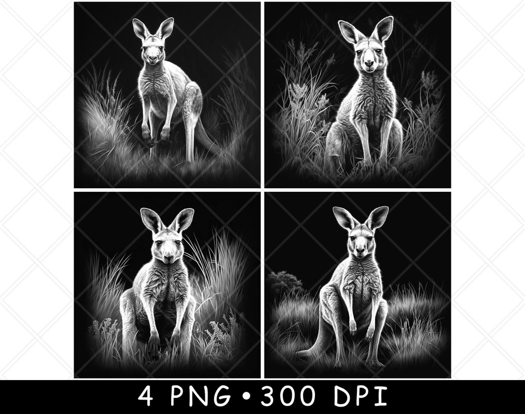 Kangaroo Australia Wildlife Roo Hop Joey Pouch Grassland Laser File ...