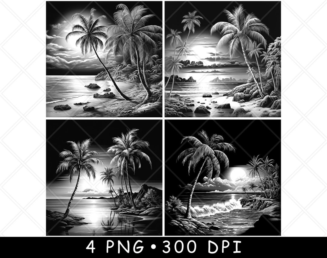 Hawaii Island Palm Sea Beach Sunset Coconut Scene Laser PNG Slate ...