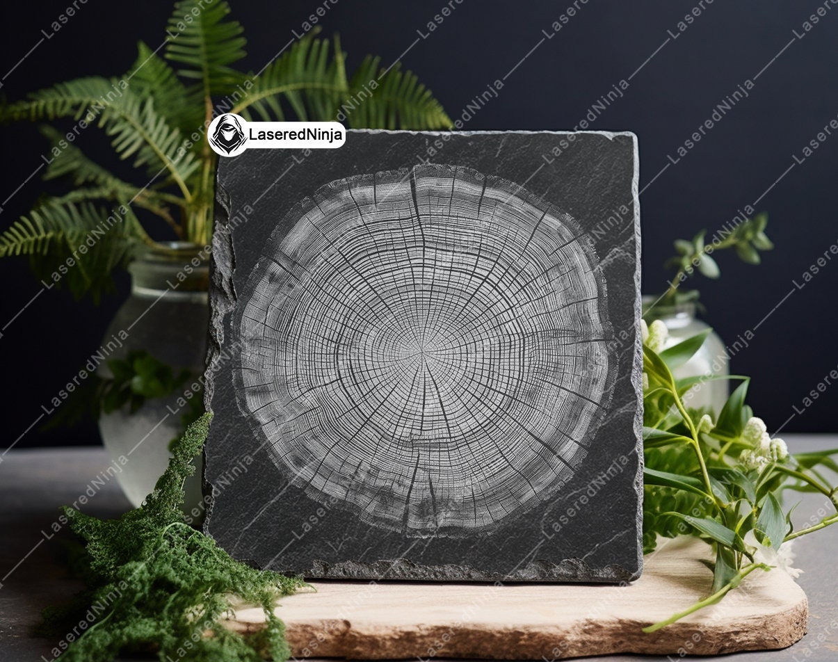 Tree Ring Wood Slice Stump Trunk Round Circle Laser PNG Slate Coaster ...