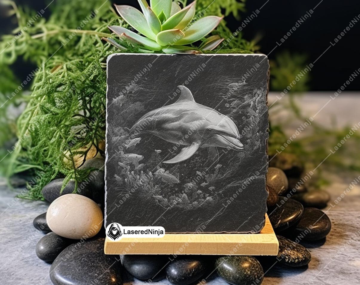 Bottlenose Dolphin Underwater Scene Ocean Sea Fish Coaster Laser File ...