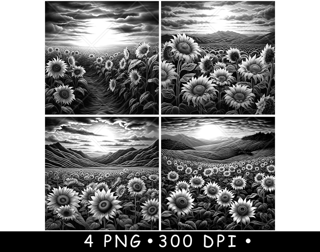 Sunflower Bloom Floral Daisy Garden Field Scene Laser PNG Slate Coaster ...
