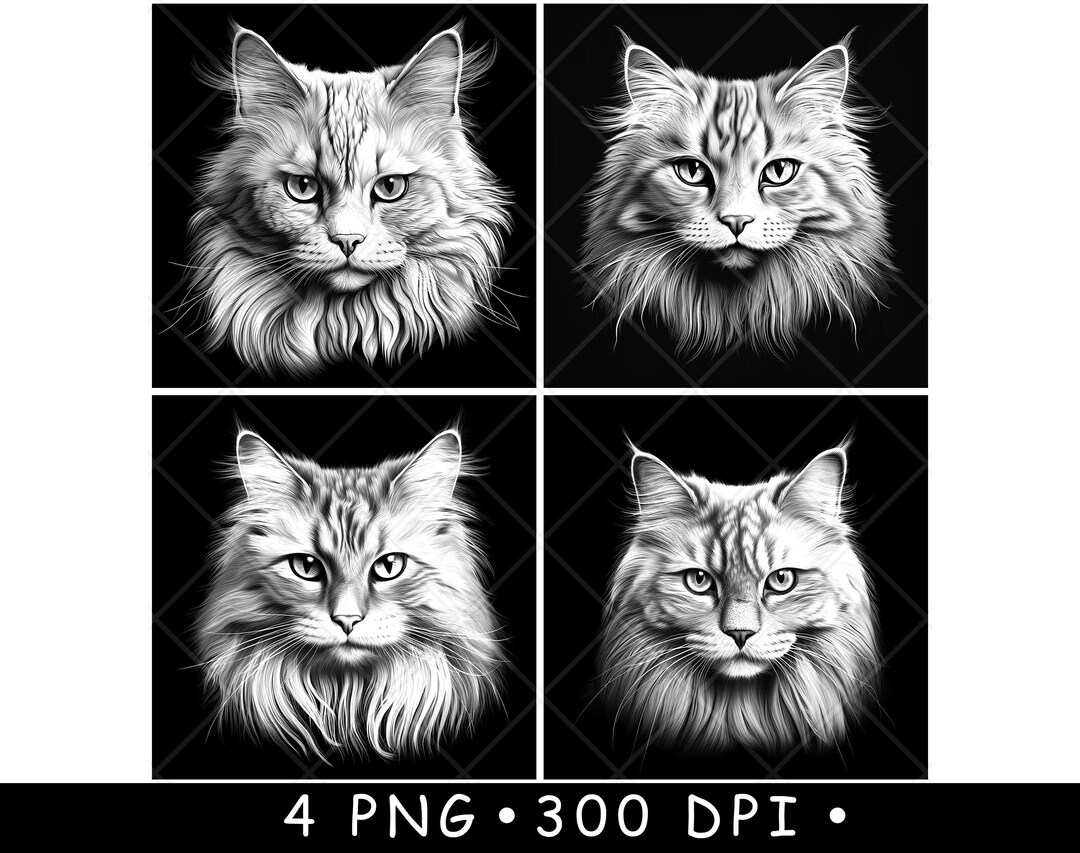 Birman Bobtail Manx Norwegian Cat Head Ragdoll Maine Coon Laser File ...