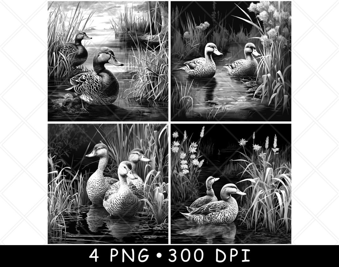 Duck Swamp Marsh Couple Wildlife Farm Wetland Scene Coaster Laser File ...