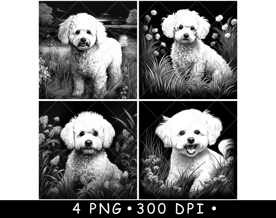 Bichon Frise Havanese Breed Fluffy Pet Curly Haired Dog Laser File ...