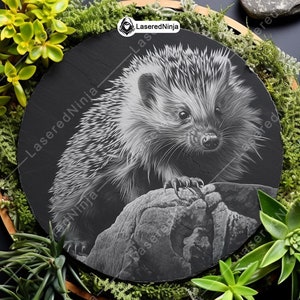 Hedgehog Spiky Prickly Spiny Mammal Small Cute Pet Wild Laser File ...