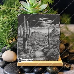 Saguaro National Park Cactus Landscape Scene West Laser PNG Slate ...