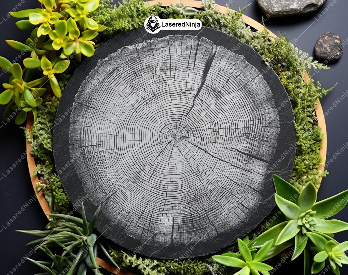 Tree Ring Wood Slice Stump Trunk Round Circle Laser PNG Slate Coaster ...
