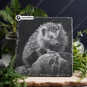 Hedgehog Spiky Prickly Spiny Mammal Small Cute Pet Wild Laser File ...