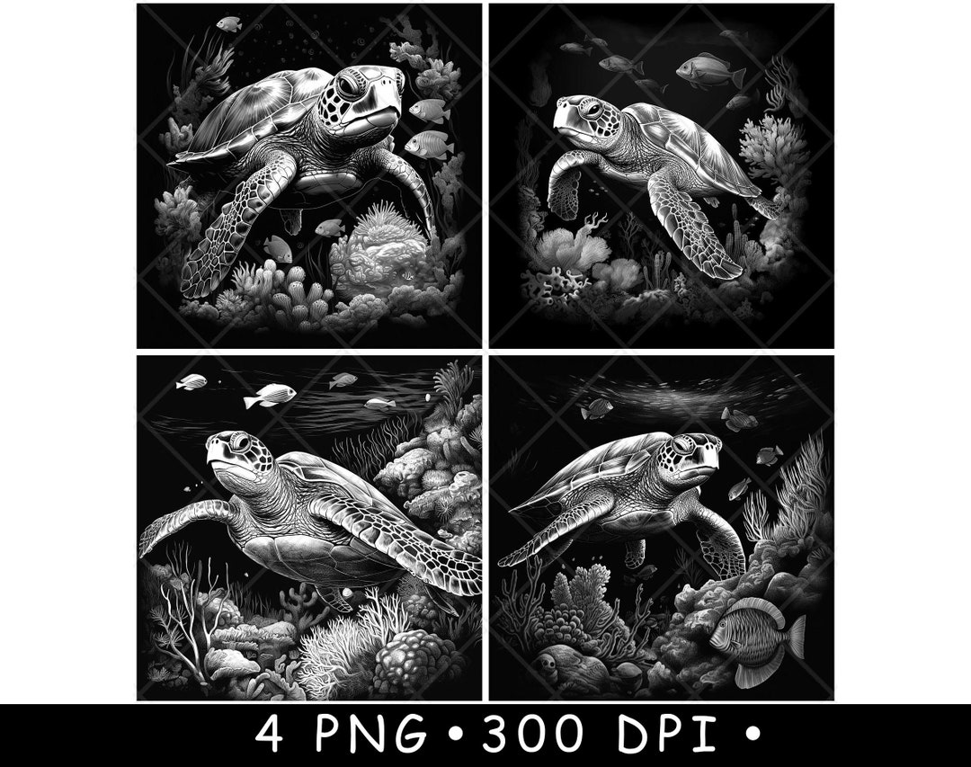 Green Sea Turtle Hawksbill Sea Coral Reef Scene Art Coaster Laser File ...