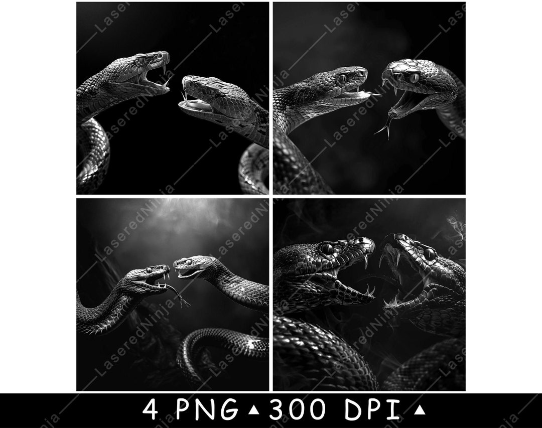 Snakes Fighting Serpent Poison Venom Monster Python Scene Laser File ...