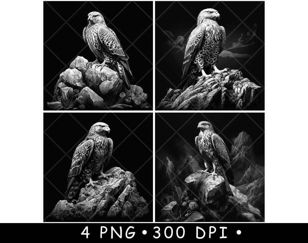 Peregrine Falcon Hawk Raptor Wild Fastest Bird Hawk Scene Laser File ...