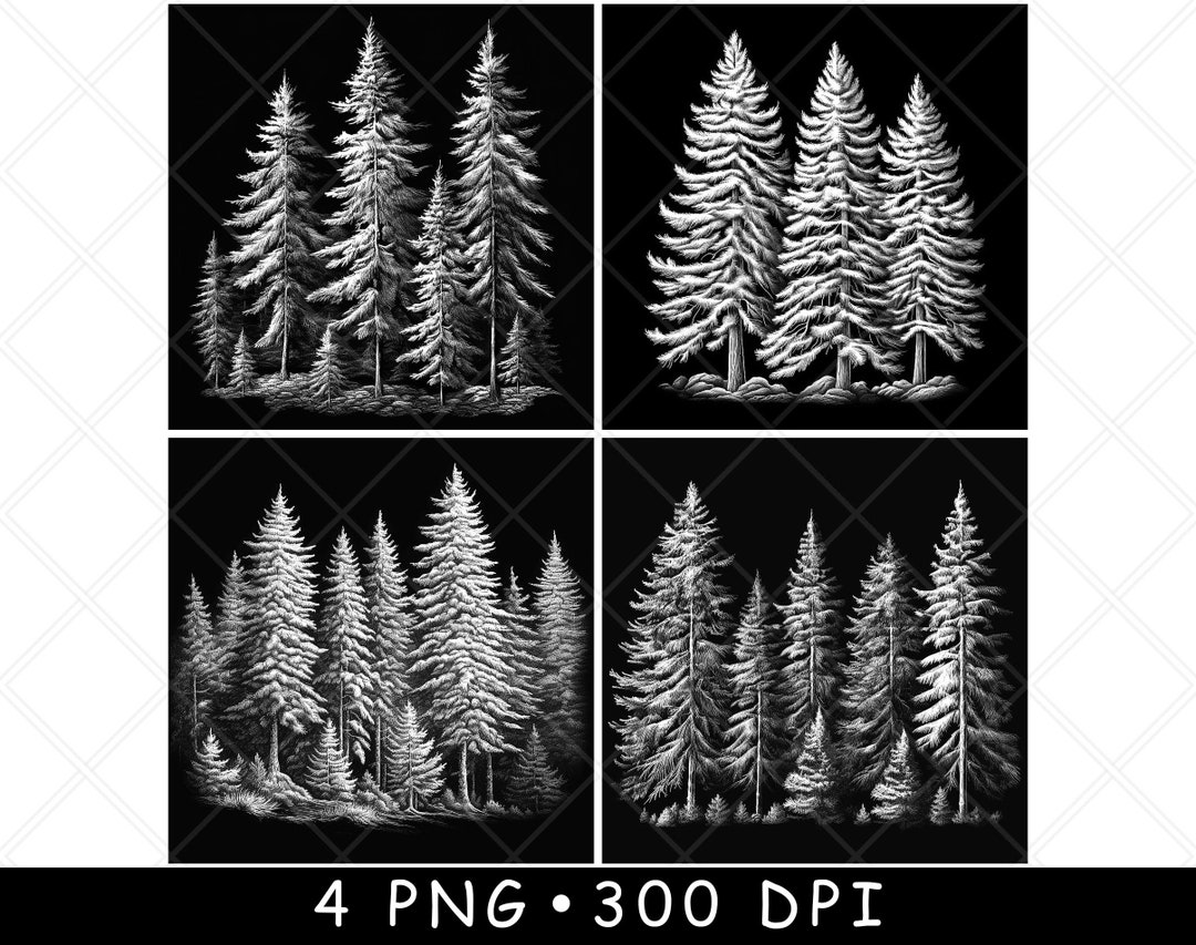 Tall Pine Trees Winter Forest Evergreen Scene Laser PNG Slate Coaster ...