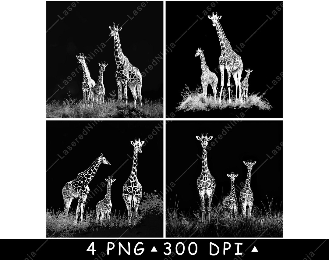 Giraffe Long Neck Animal Wild Savannah Safari Zoo Scene Laser File ...