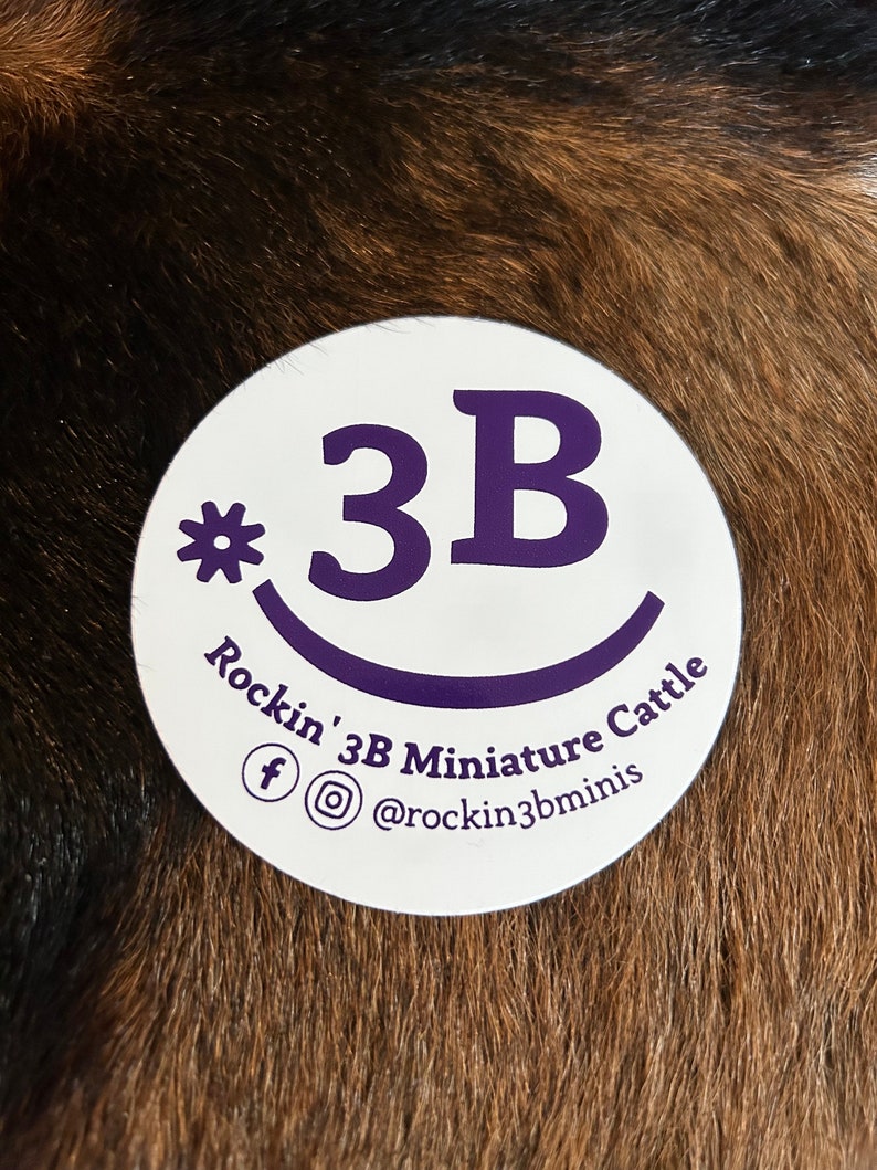 Rockin’ 3B Sticker - Etsy